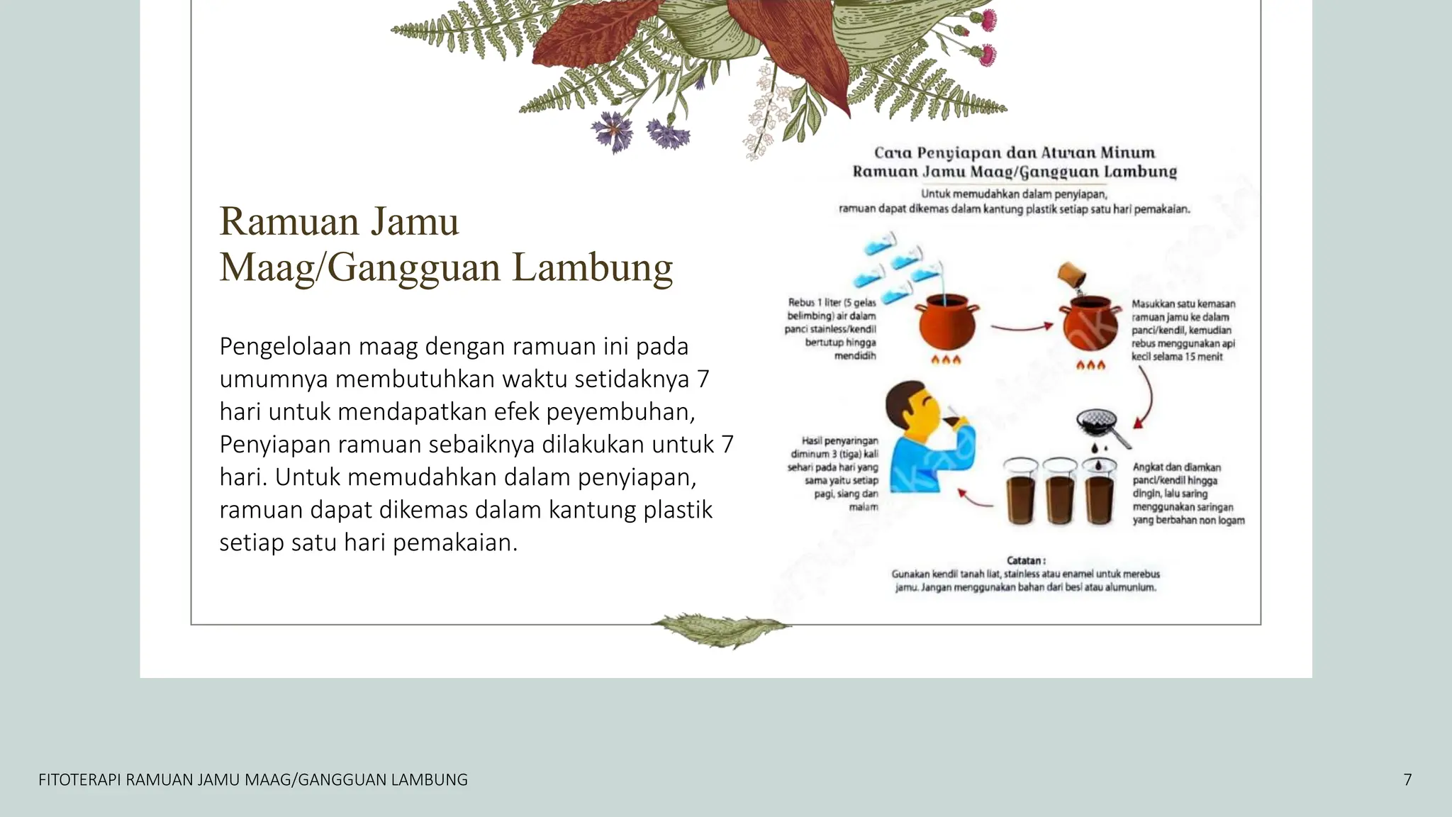 FITOTERAPI evidance based medicine ramuan jamu maag.pptx