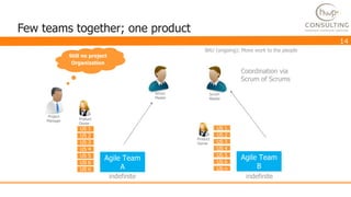 Henny Portman - Will the project manager survive in the agile world when scaling up teams | PPTX