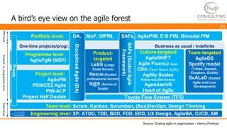 Henny Portman - Will the project manager survive in the agile world when scaling up teams | PPTX