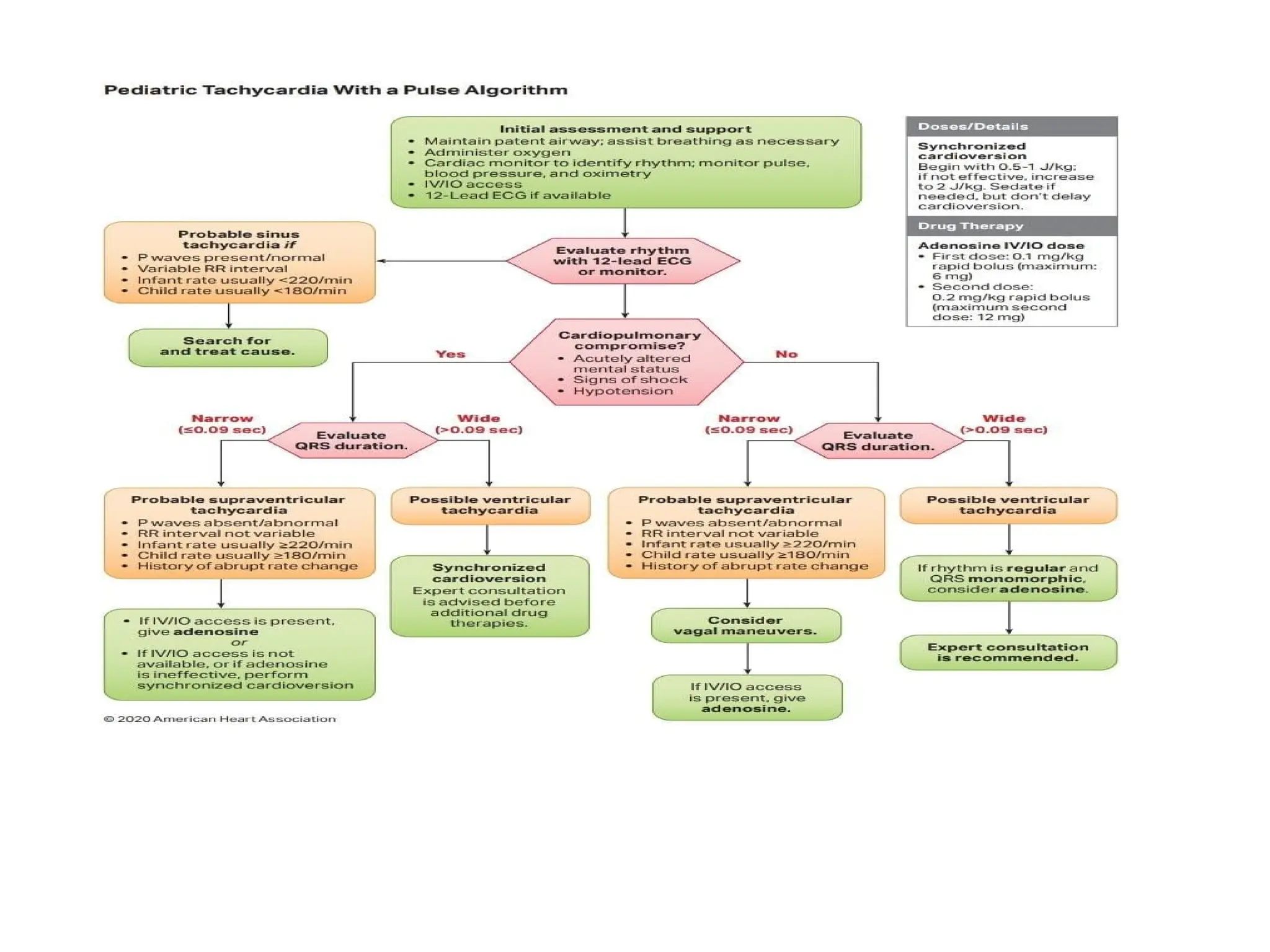 OBGYN and Paediatric ACLS presentaion.pptx