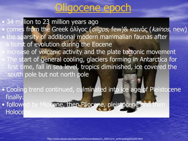 Eocene Oligocene Transition Class Presentation By Kedar Ghimire | PPT ...
