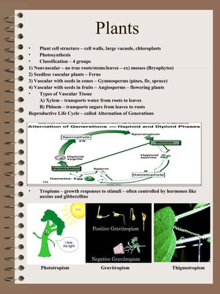 Eoc review ppt | PPT