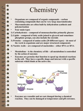 Eoc review ppt | PPT