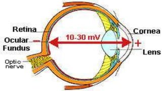 ELECTRO-OCULOGRAM | PPT
