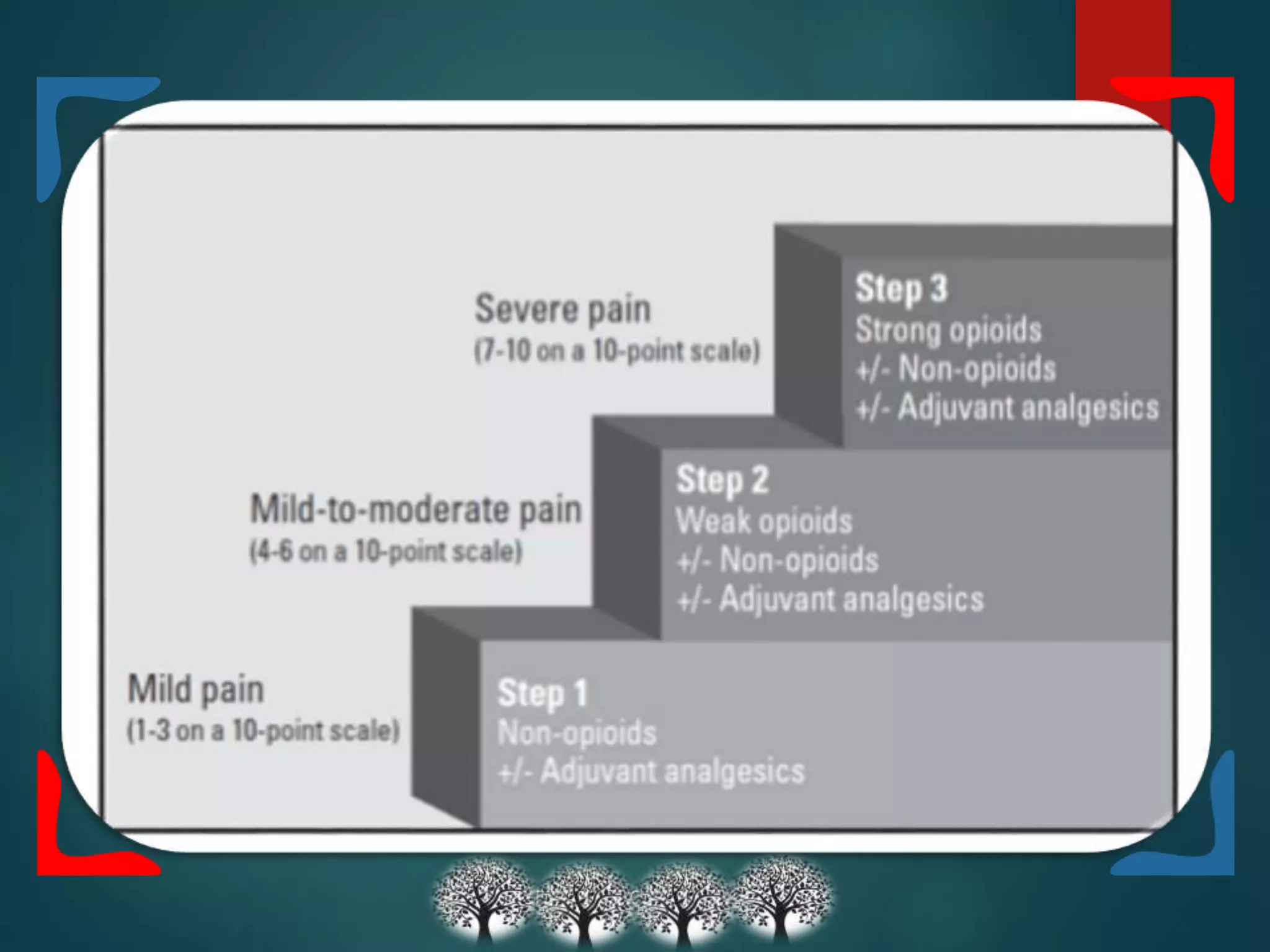 End Of Life Care | PPTX