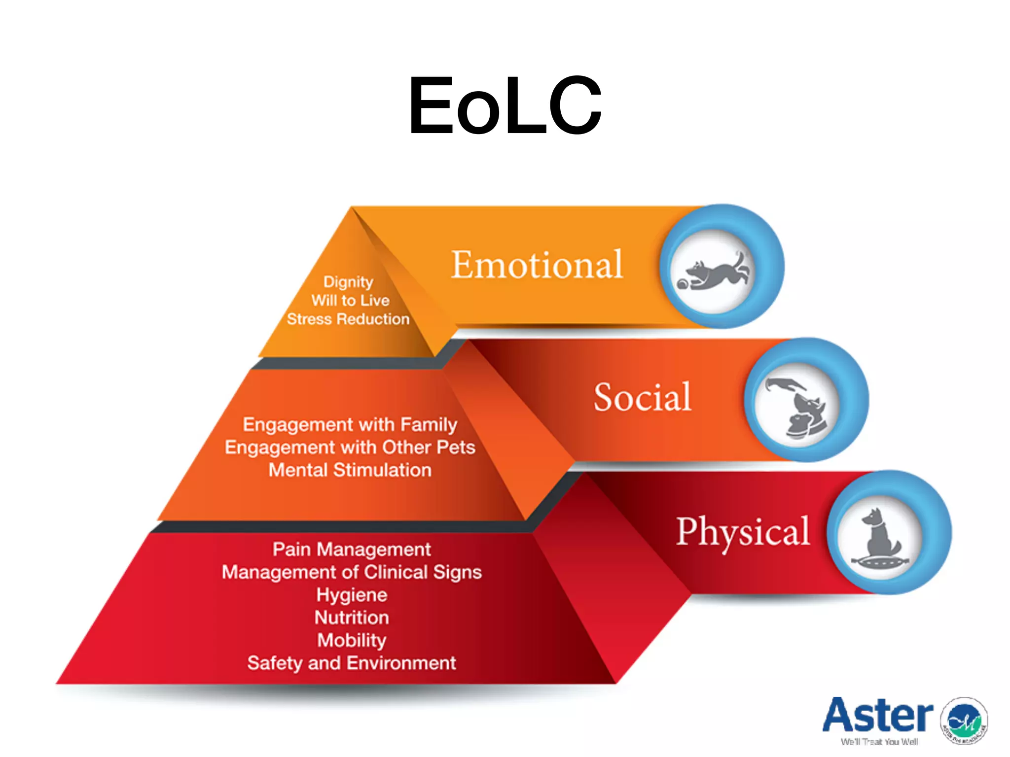 End of Life Care -EoLC in ED | PDF