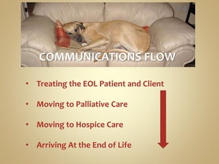 End of Life Communications | PPT