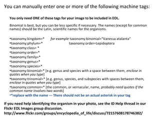 EOL Flickr Tutorial | PPT