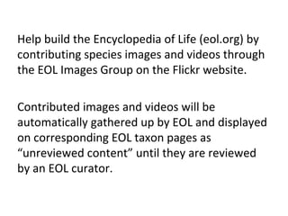 EOL Flickr Tutorial | PPT