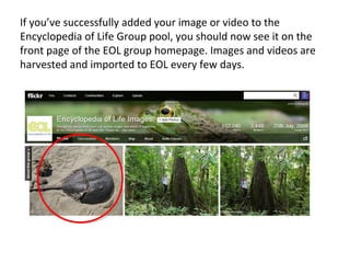 EOL Flickr Tutorial | PPT