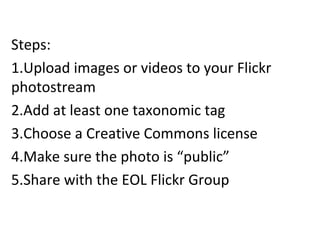 EOL Flickr Tutorial | PPT