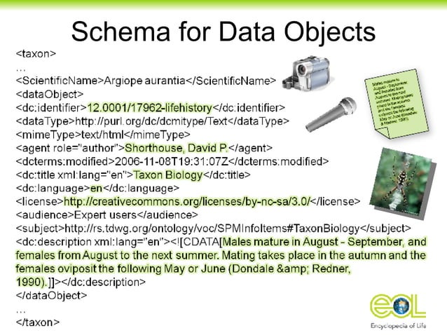 Eol Shorthouse | PPT