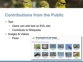 Eol Tools Overview | PPT