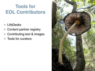 Eol Tools Overview | PPT