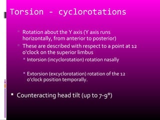 EXTRA OCULAR MUSCLES | PPT