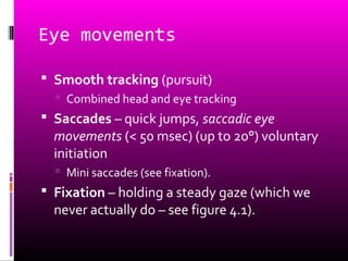 EXTRA OCULAR MUSCLES | PPT