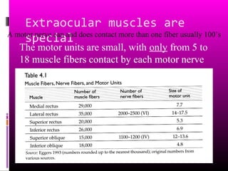 EXTRA OCULAR MUSCLES | PPT