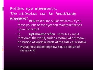 EXTRA OCULAR MUSCLES | PPT