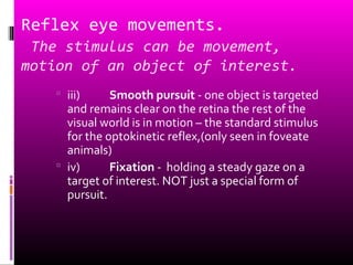 EXTRA OCULAR MUSCLES | PPT