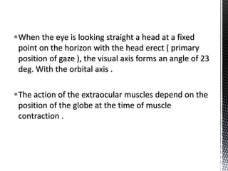 Extra Ocular Muscle | PPT