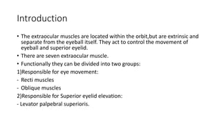 ExtraOcularMuscles | PPT