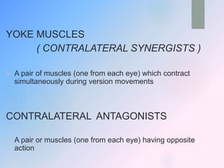 Extraocular Muscles: Anatomy | PPTX