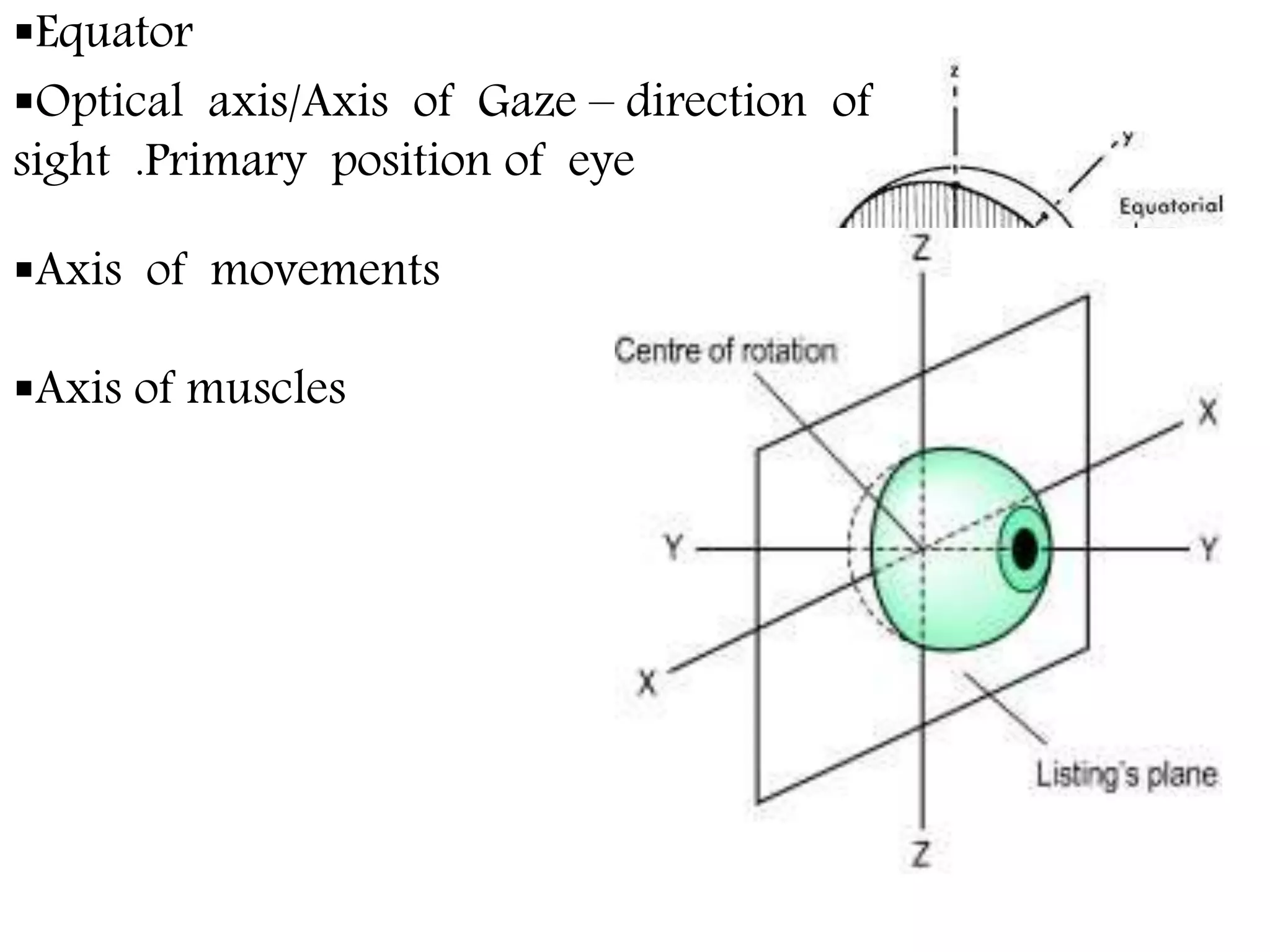 Extra ocular muscles ppt | PPTX
