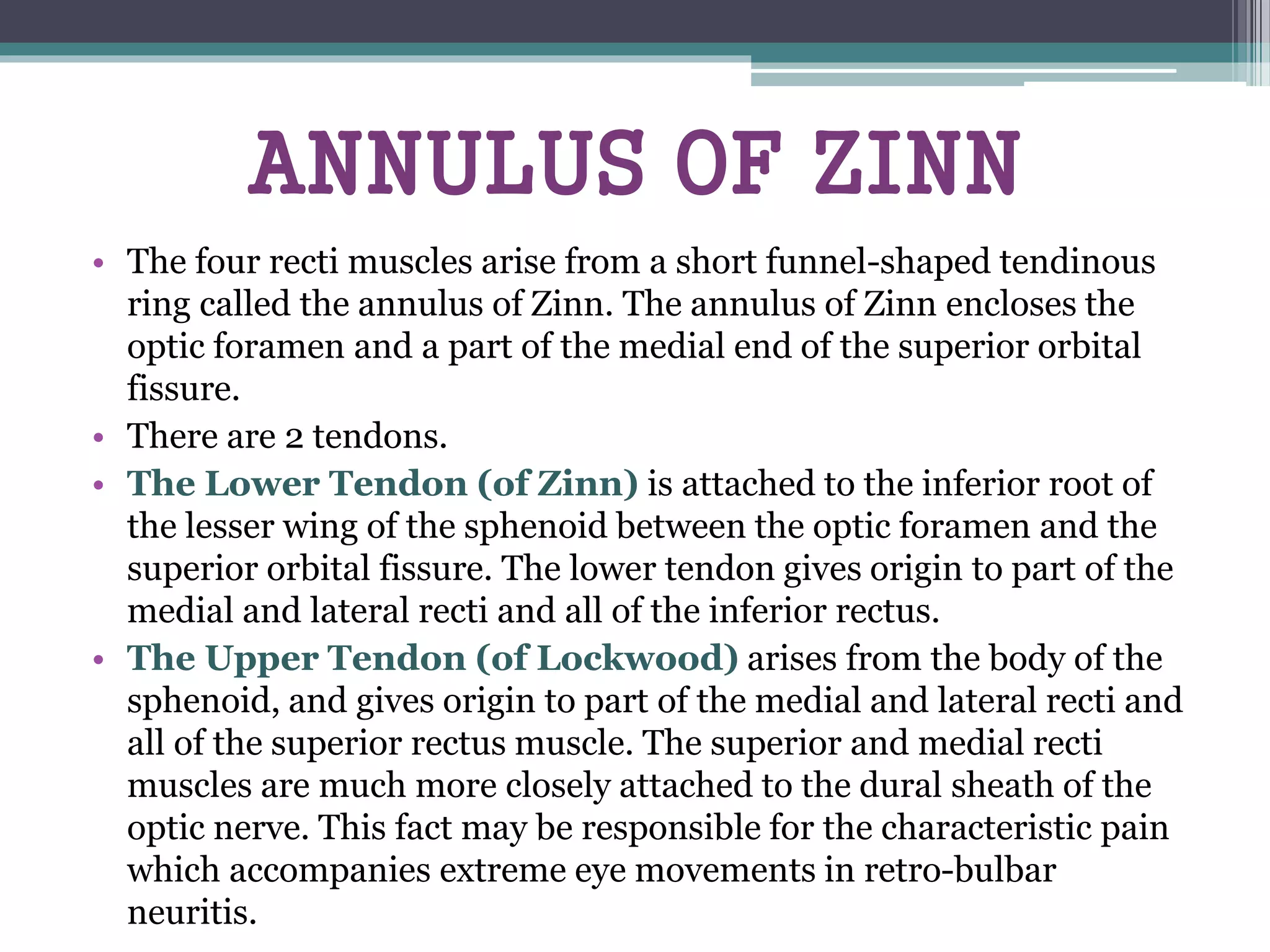 EXTRA OCULAR MUSCLES ANATOMY | PPTX