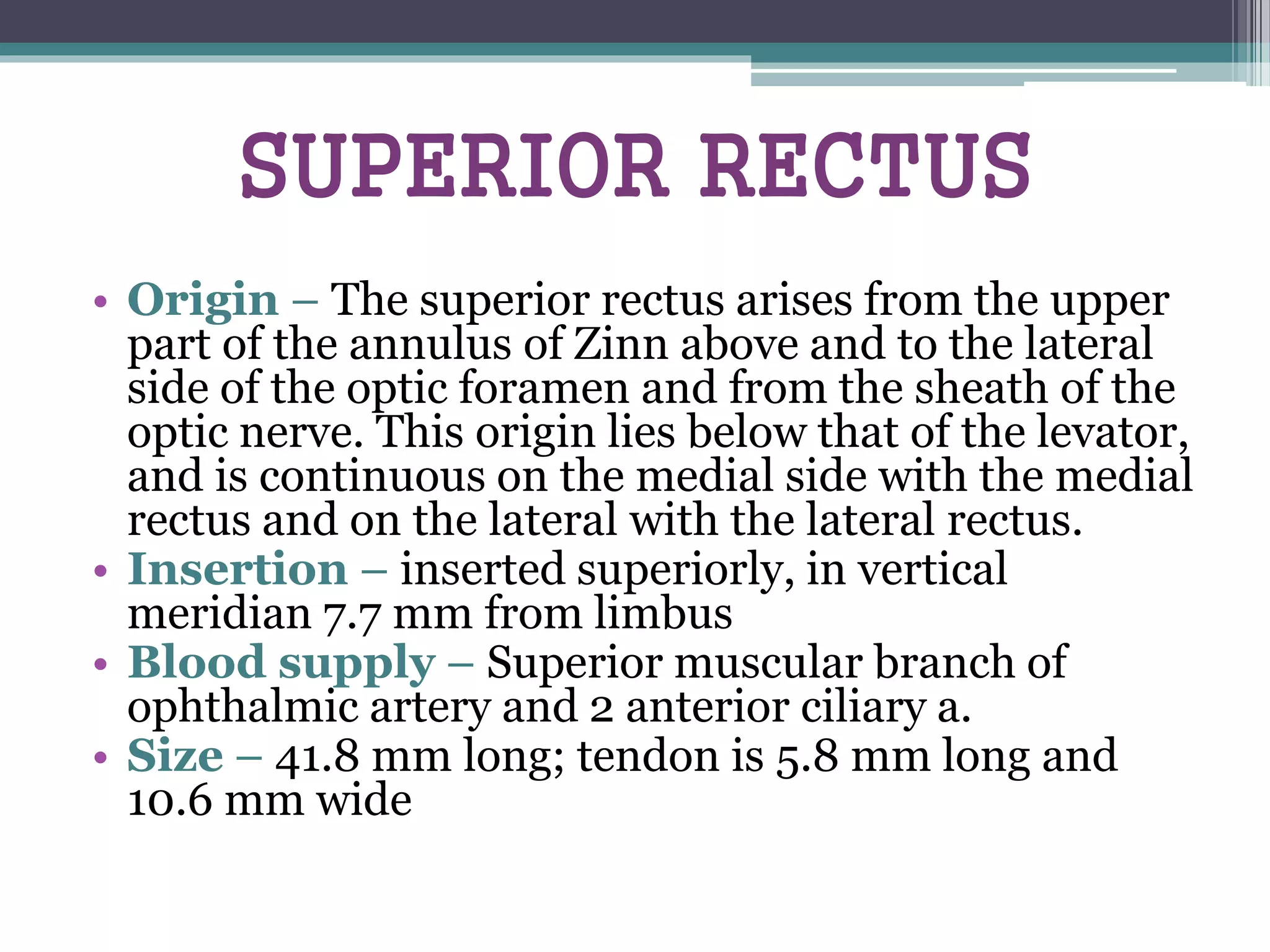 EXTRA OCULAR MUSCLES ANATOMY | PPTX