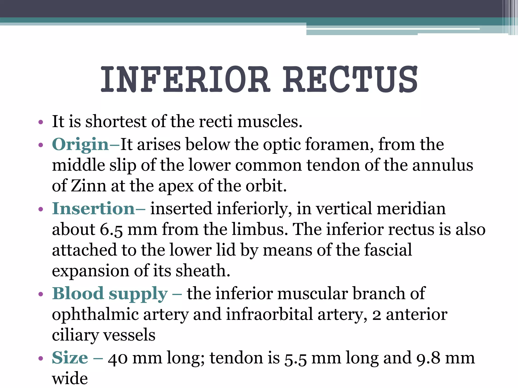EXTRA OCULAR MUSCLES ANATOMY | PPTX