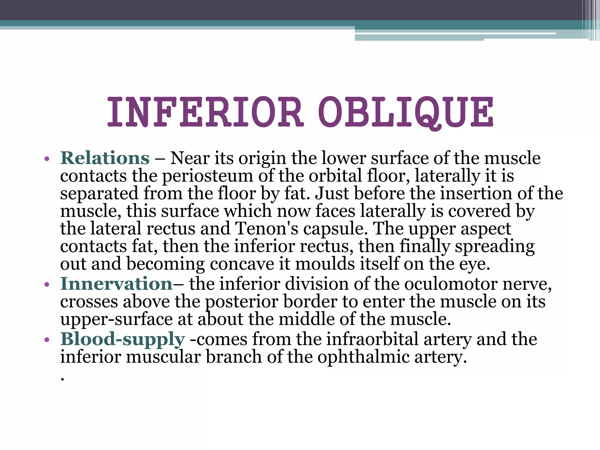 EXTRA OCULAR MUSCLES ANATOMY | PPTX