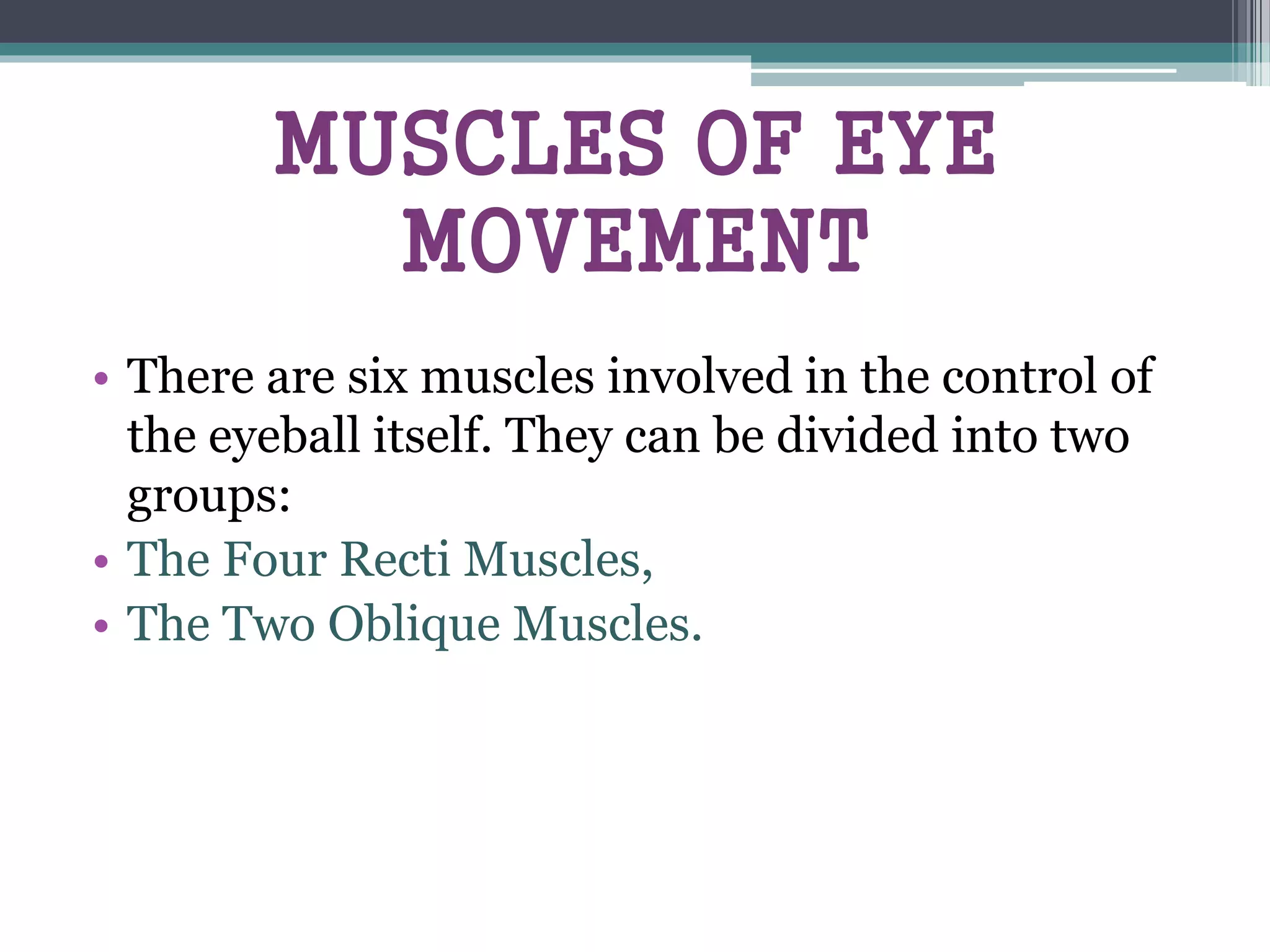 EXTRA OCULAR MUSCLES ANATOMY | PPTX