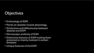 Extraocular muscle embryology and histology | PDF