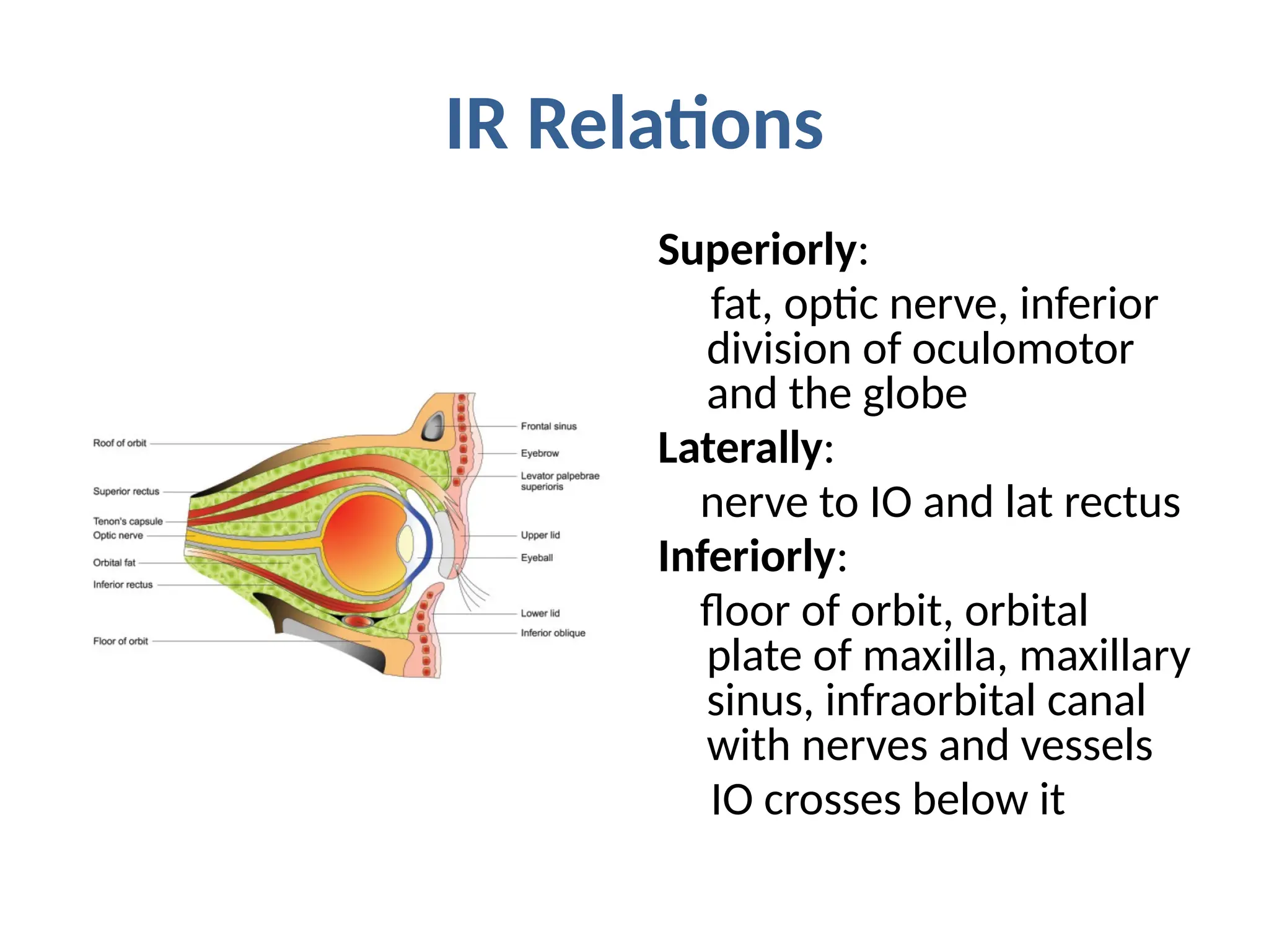 Extraocular muscles movement and test in ocular | PPTX