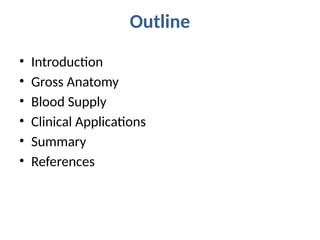 Extraocular muscles movement and test in ocular | PPTX