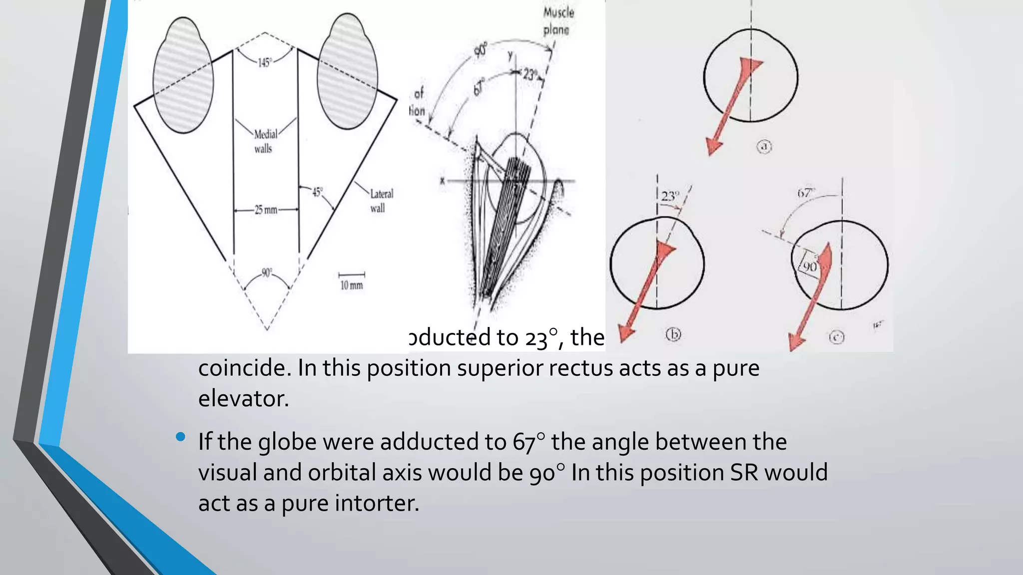 EXTRA OCULAR MUSCLES PHYSIOLOGY | PPTX