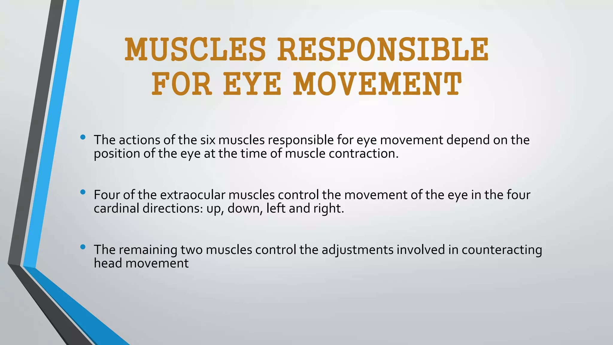 EXTRA OCULAR MUSCLES PHYSIOLOGY | PPTX