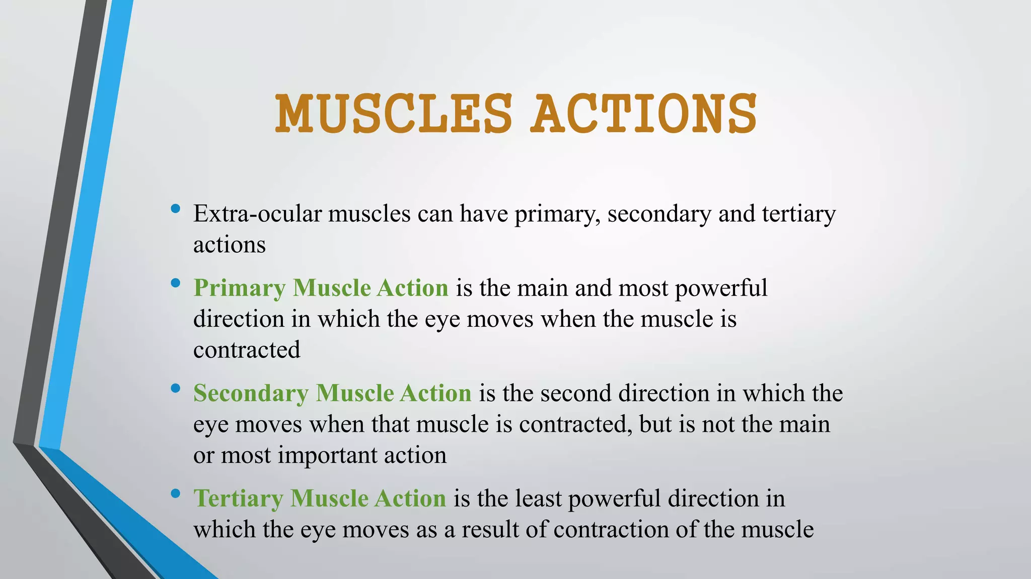 EXTRA OCULAR MUSCLES PHYSIOLOGY | PPTX