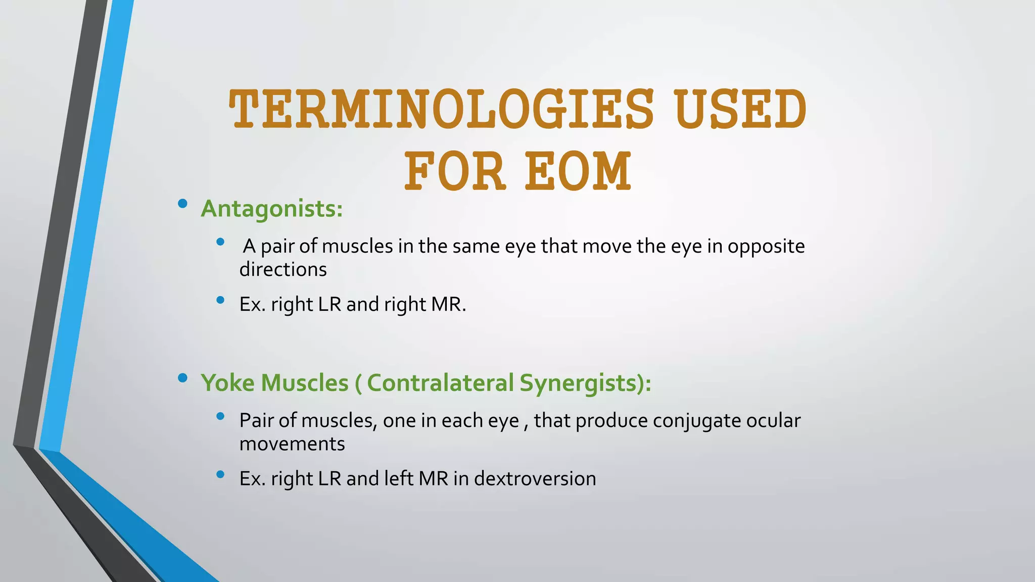 EXTRA OCULAR MUSCLES PHYSIOLOGY | PPTX