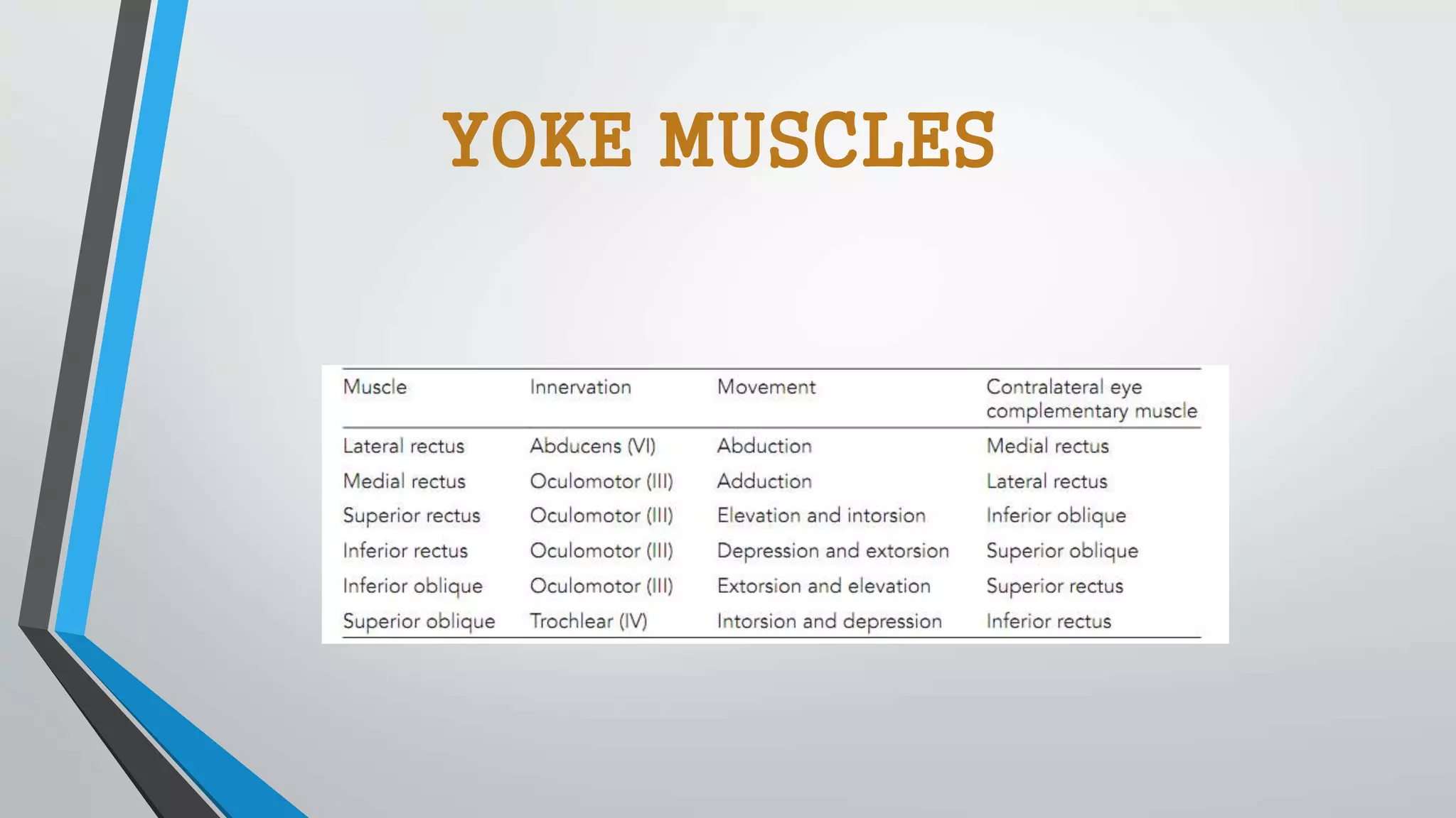 EXTRA OCULAR MUSCLES PHYSIOLOGY | PPTX