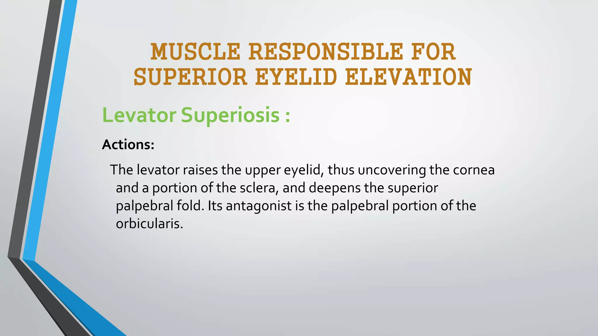 EXTRA OCULAR MUSCLES PHYSIOLOGY | PPTX