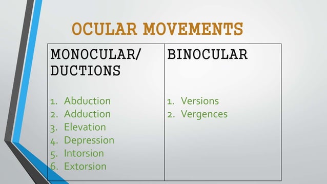 EXTRA OCULAR MUSCLES PHYSIOLOGY | PPTX | Eye and Vision Conditions ...