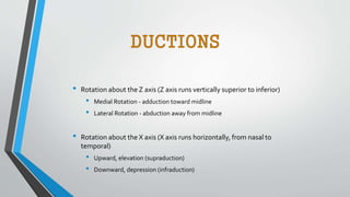 EXTRA OCULAR MUSCLES PHYSIOLOGY | PPTX