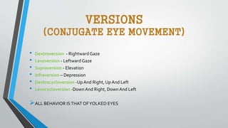 EXTRA OCULAR MUSCLES PHYSIOLOGY | PPTX