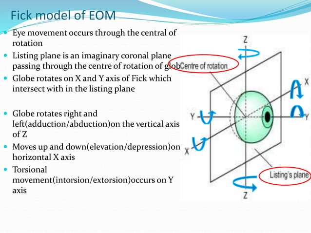 Eom ppt | PPT