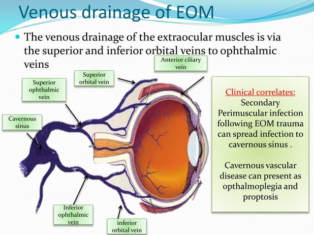 Eom ppt | PPT