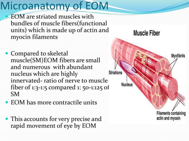 Eom ppt | PPTX | Eye and Vision Conditions | Diseases and Conditions