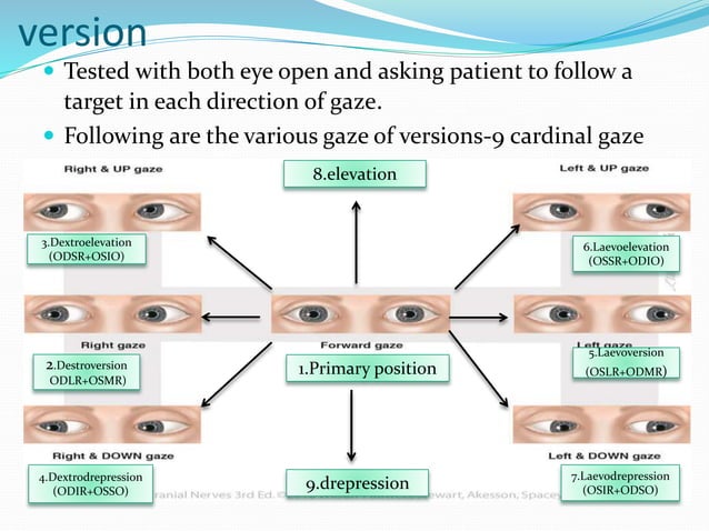 Eom ppt | PPTX | Eye and Vision Conditions | Diseases and Conditions