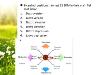 Anatomy and physiology of extraocular muscles and applied aspects | PPTX
