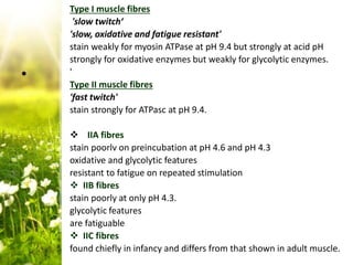 Anatomy and physiology of extraocular muscles and applied aspects | PPTX